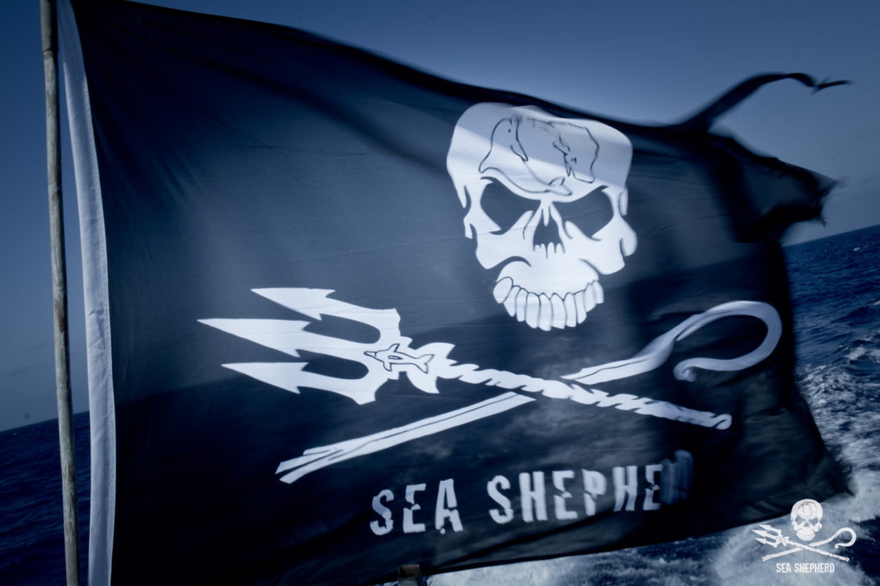 Über Uns - Sea Shepherd