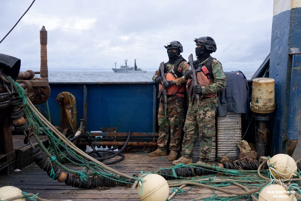WORLD DOLPHIN DAY - Sea Shepherd