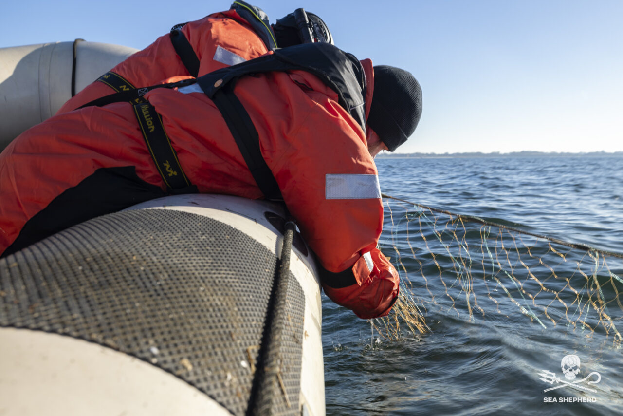 Ostsee: Verdeckte Patrouillen im Winter - Sea Shepherd