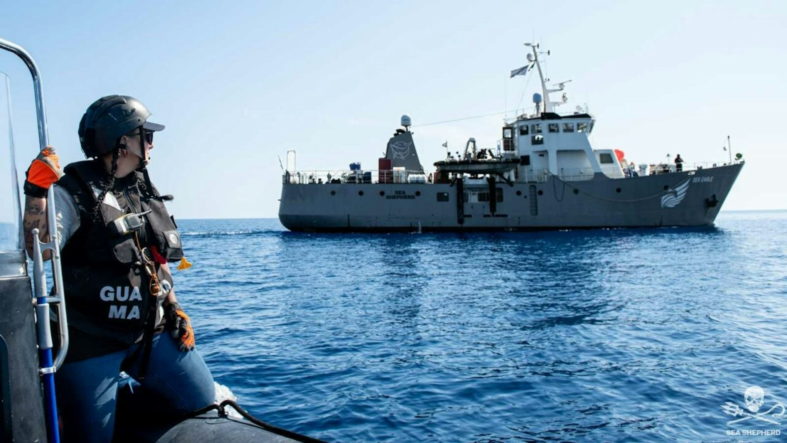 Sea Shepherds erste Sea Ranger - Sea Shepherd