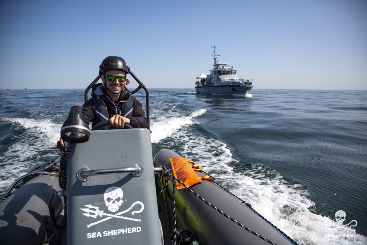 Sea Shepherds Strafanzeige führt zu Verurteilung - Sea Shepherd