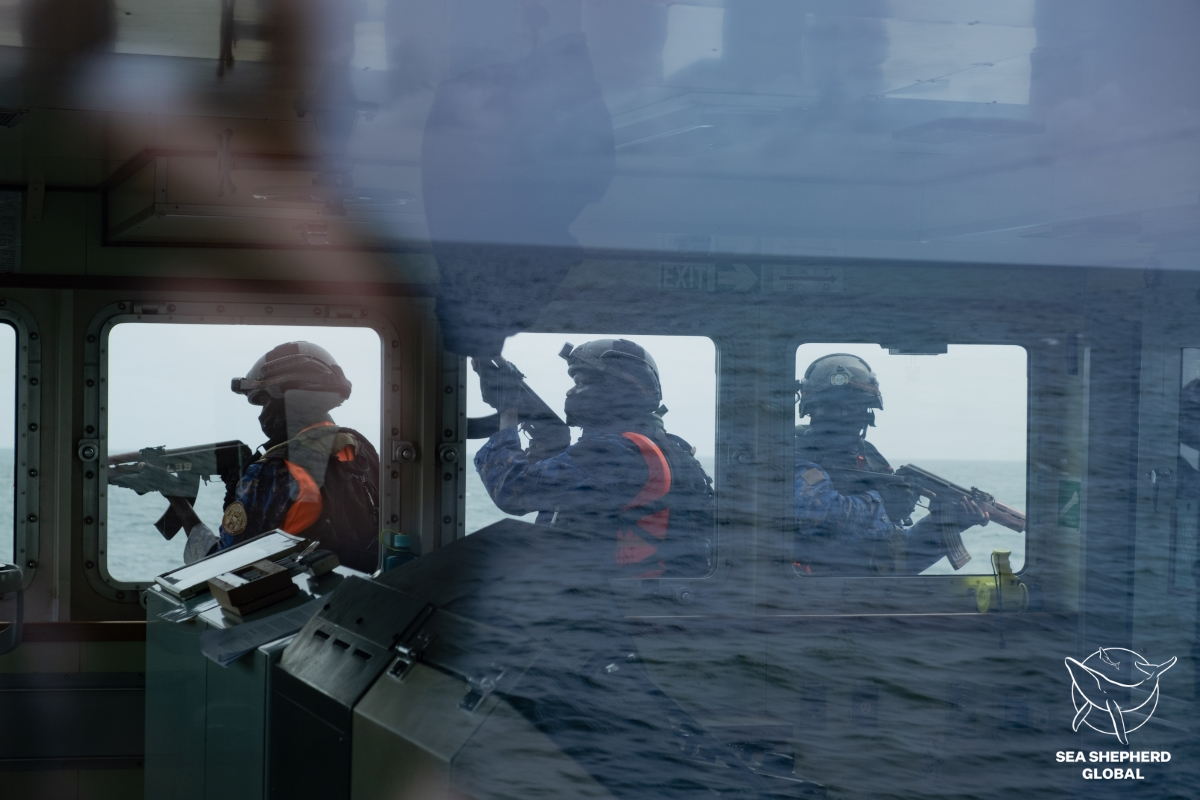 Sea Shepherds erste Sea Ranger - Sea Shepherd