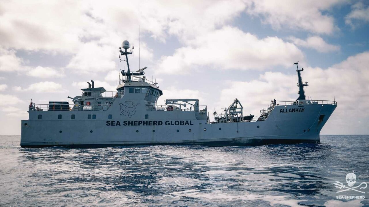 Captain's Report: Die Reise vor uns - Sea Shepherd